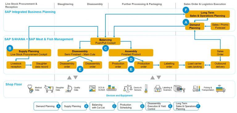 Planning with IBP and Meat and Fish Management